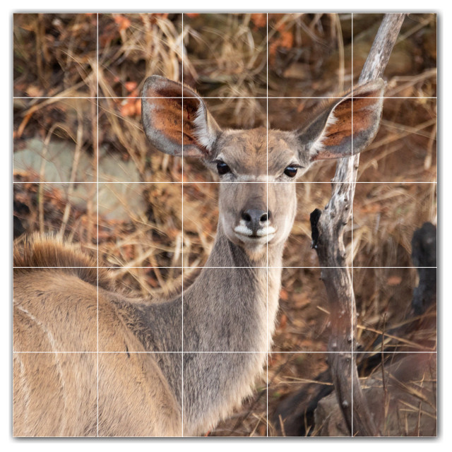 Deer Ceramic Tile Wall Mural HZ500459, 60" Wide x 60" High - Rustic ...