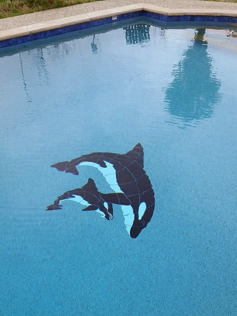Orca & Baby Ceramic Swimming Pool Mosaic, 36"x34" - Beach Style ...