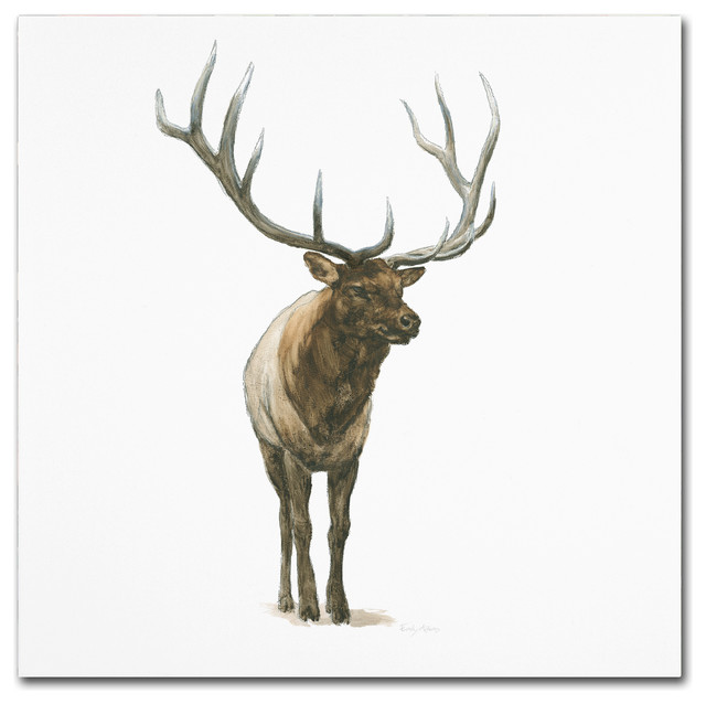 Emily Adams 'Natural Majesty I' Canvas Art, 18"x18" - Rustic - Prints ...