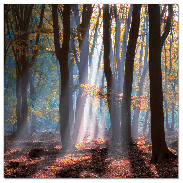 Acrylic Picture of Hidden Escape - Contemporary - Paintings - by ...