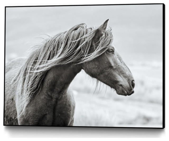 Giant Art Canvas 24x18 The Fell Framed in White - Contemporary - Prints ...