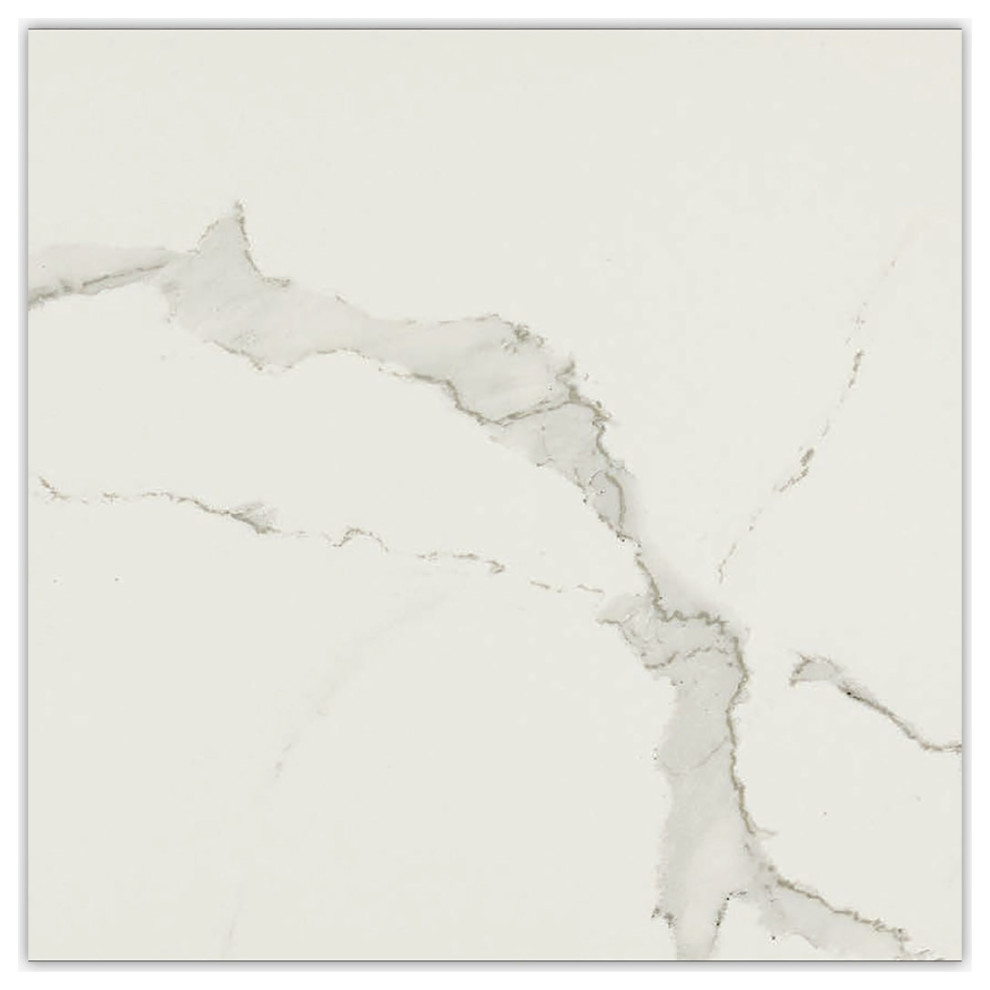 Eterno Albatro Polished 32x32 Porcelain Tile, 32x32 - Contemporary ...