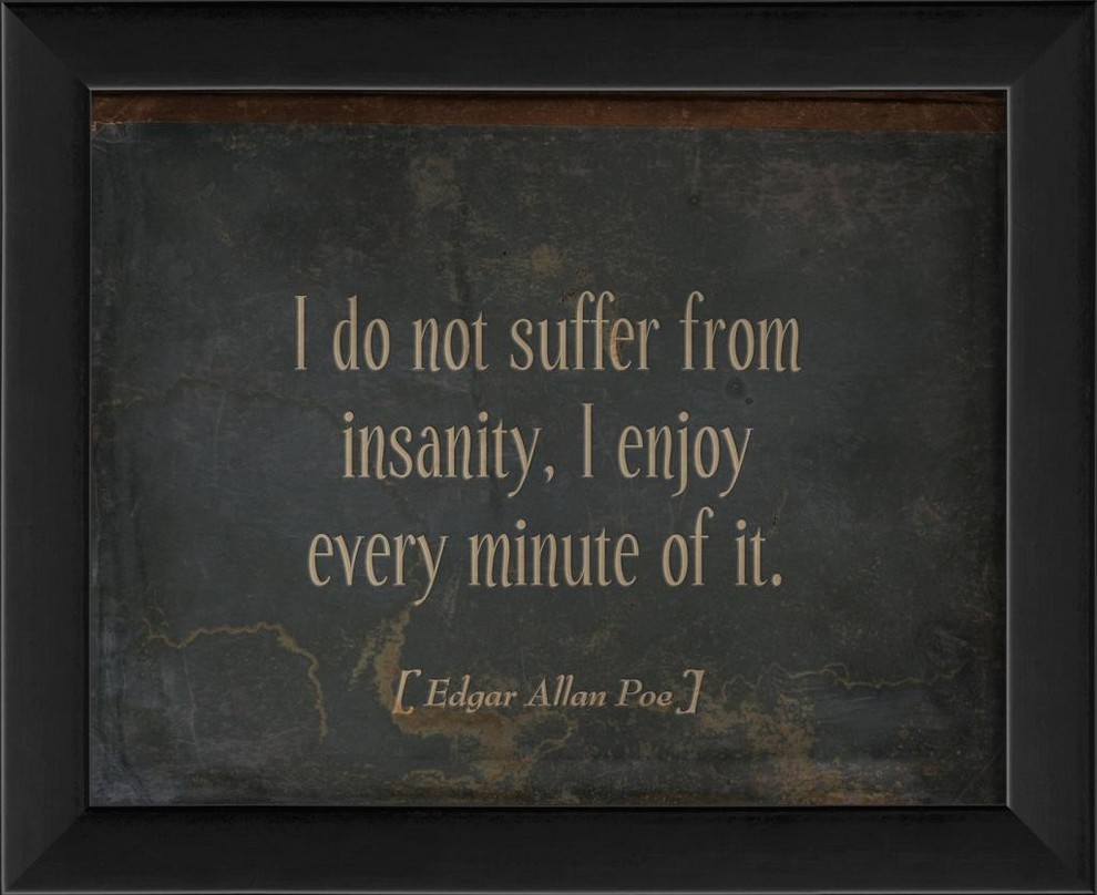 I Do Not Suffer From Insanity Framed Quote - Contemporary - Prints And ...