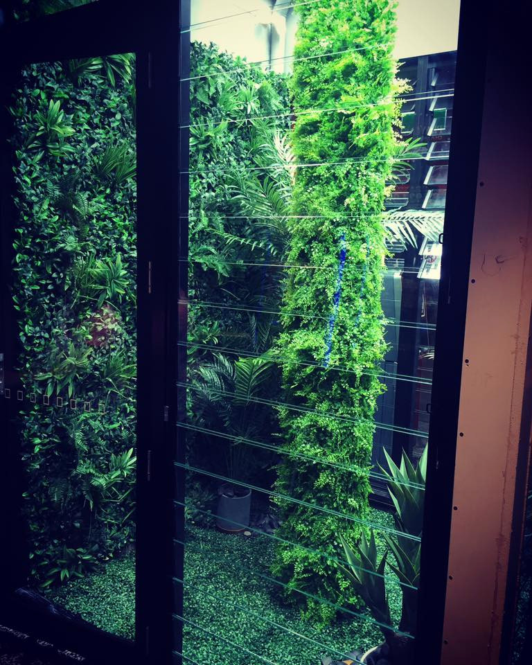 On the Up and Up: Expert Advice for Growing a Green Wall