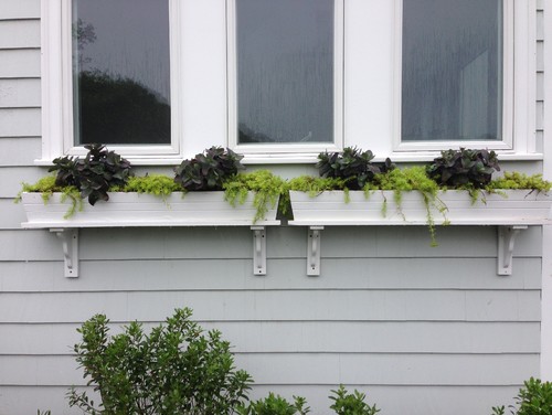 6 Window Box Basics to Take Your Curb Appeal to the Next Level