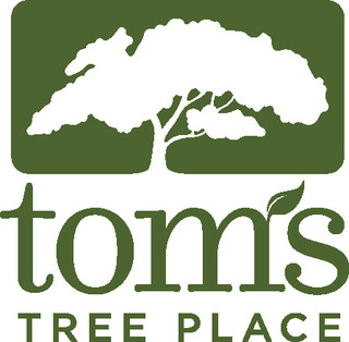 TOM'S TREE PLACE - Project Photos & Reviews - Lubbock, TX US | Houzz