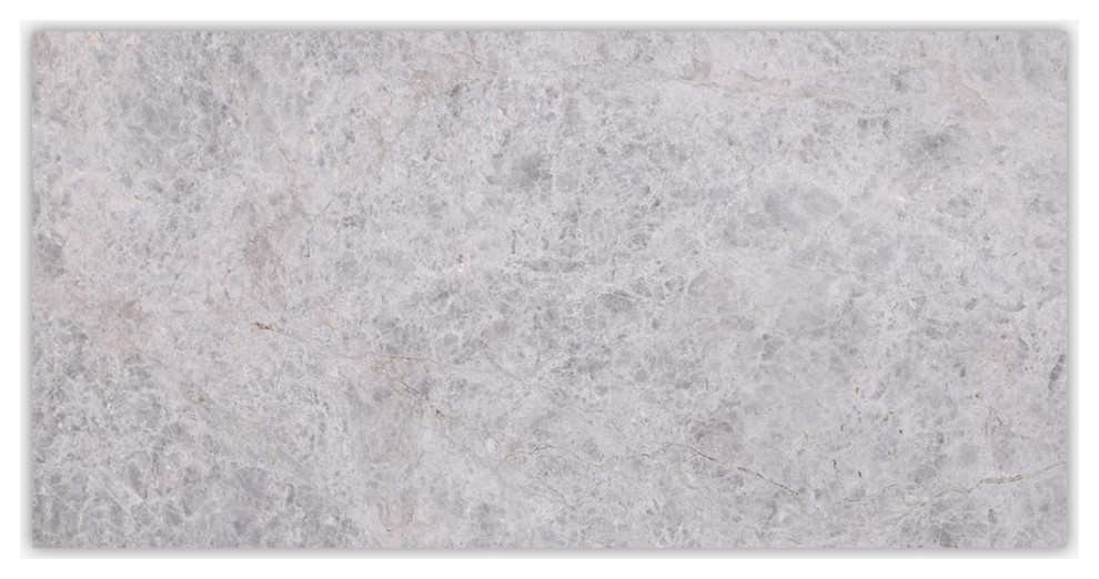 Silver Gray Light Honed 12x24 Marble Tile, 12x24 - Traditional - Wall ...