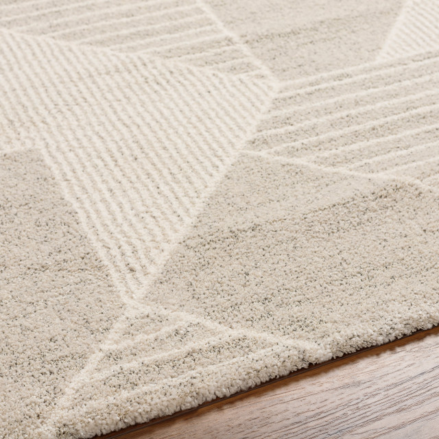 Surya Gavic GVC-2314 Machine Woven Area Rug, 2' x 2'11" - Contemporary ...