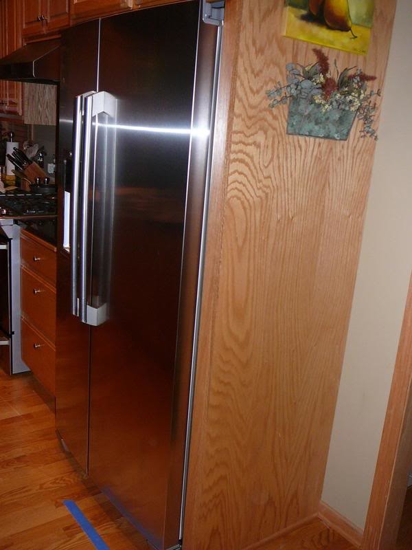 Should I get counter depth or regular size frig (pics)