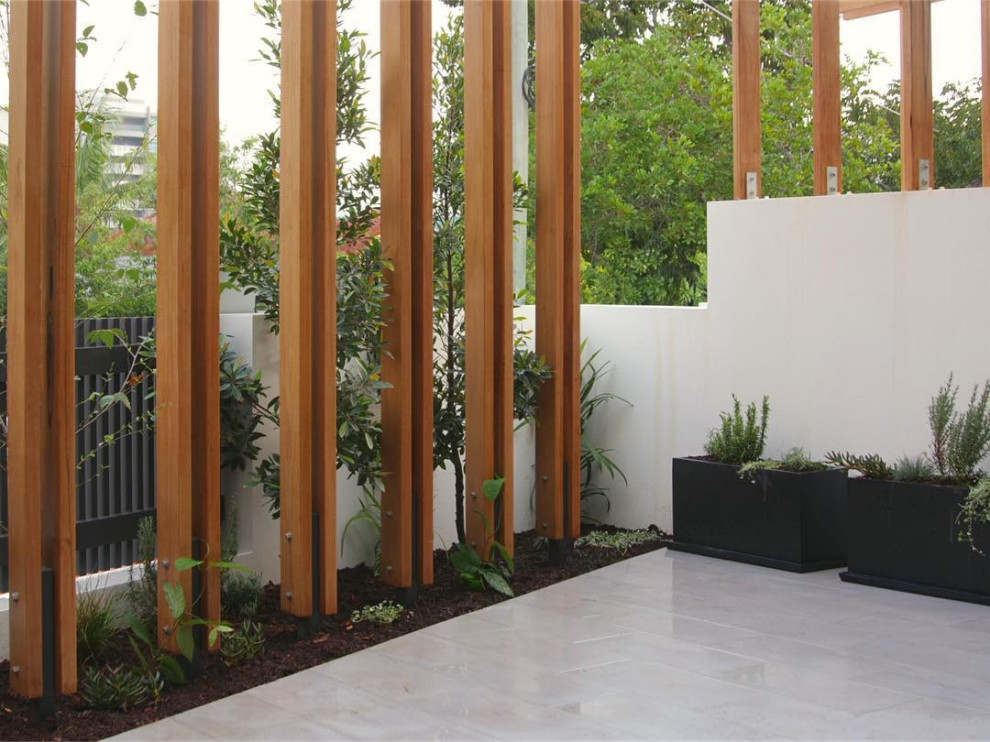 Focal Green Wall - Contemporary - Brisbane - by Green Care Project | Houzz