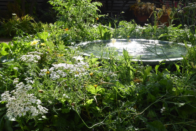 14 Water Feature Ideas for Small Gardens | Houzz IE