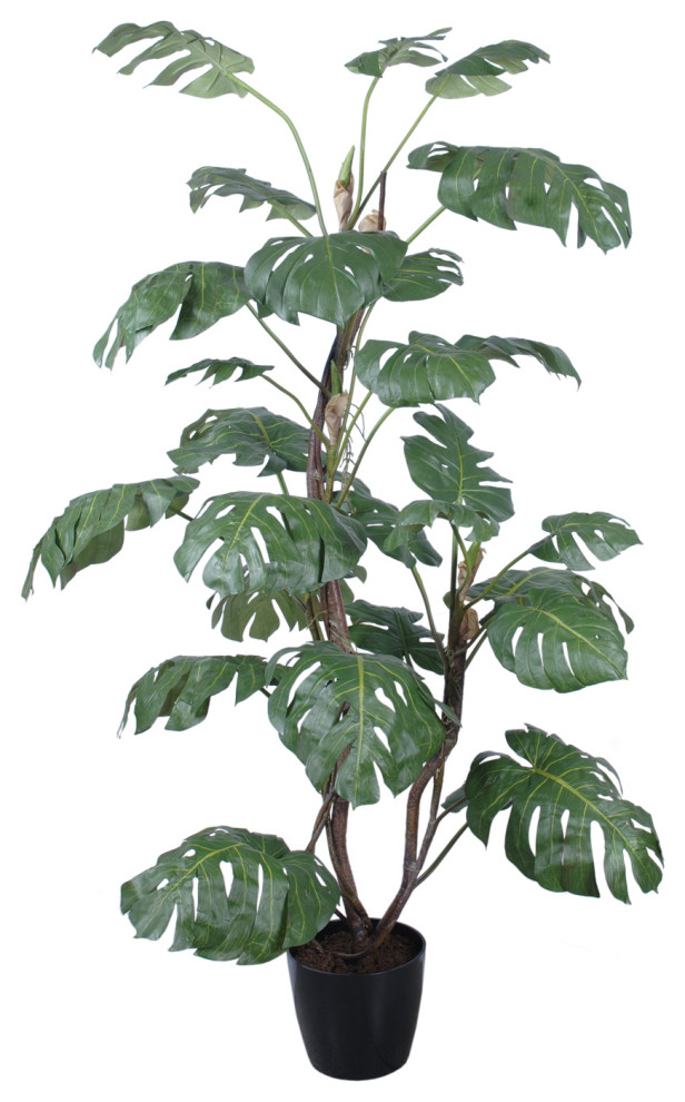SPLIT LEAF PHILO POTTED - Traditional - Artificial Plants And Trees - by Gold Eagle USA | Houzz
