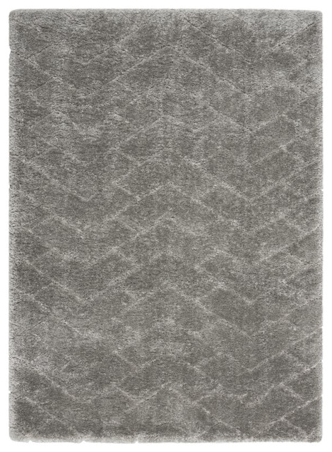 Nourison Dreamy Shag DRS03 Contemporary Grey Rectangle Area Rug, 7'10 ...
