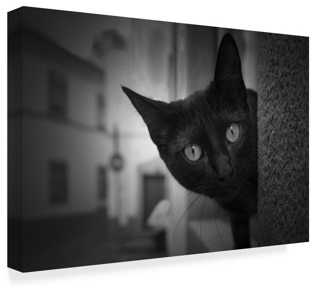 Fernando Jorge Goncalves 'Hello Black Cat' Canvas Art, 32"x22 ...