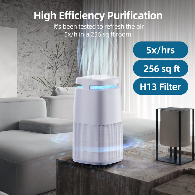 MJ002H 4-in-1 Air Purifiers for Home, H13 True Hepa Filter, Air Ionizer ...
