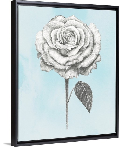 "Graphite Rose III" Floating Frame Canvas Art, 26"x32" - Traditional ...