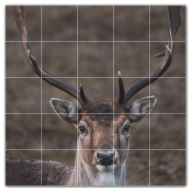 Deer Ceramic Tile Wall Mural HZ500468, 30" Wide x 30" High - Rustic ...
