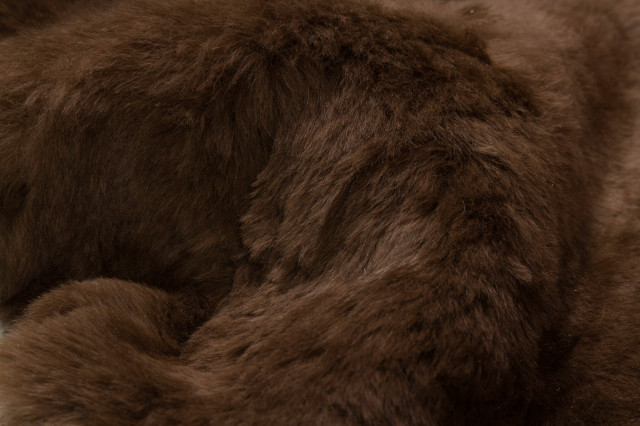 Natural Home Decor Icelandic Sheepskin Single Long-Haired Rug, 1-Piece ...