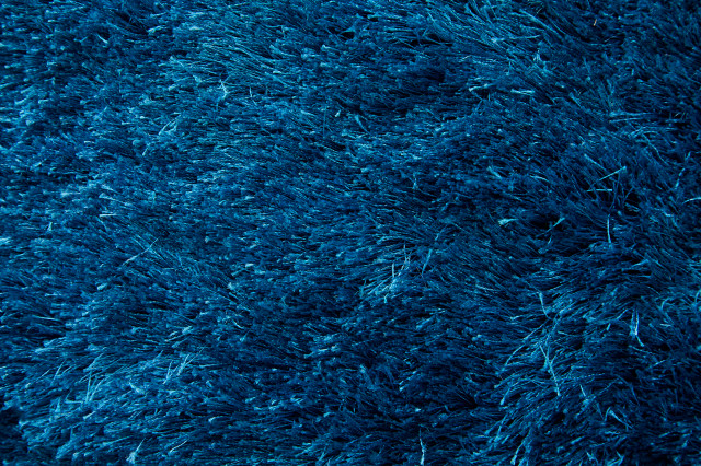 Weave & Wander Freya Plush Shag Rug, 2'x3'4" - Contemporary - Area Rugs ...