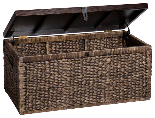 Hector Water Hyacinth Storage Trunk - Tropical - Decorative Trunks - by ...