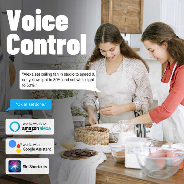 CARRO Smart Voice Control Ceiling Fan with Dimmable LED Light and ...