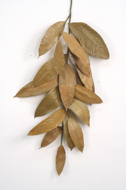 Gandaria Leaf Swag Tan Green - Traditional - Artificial Plants And ...