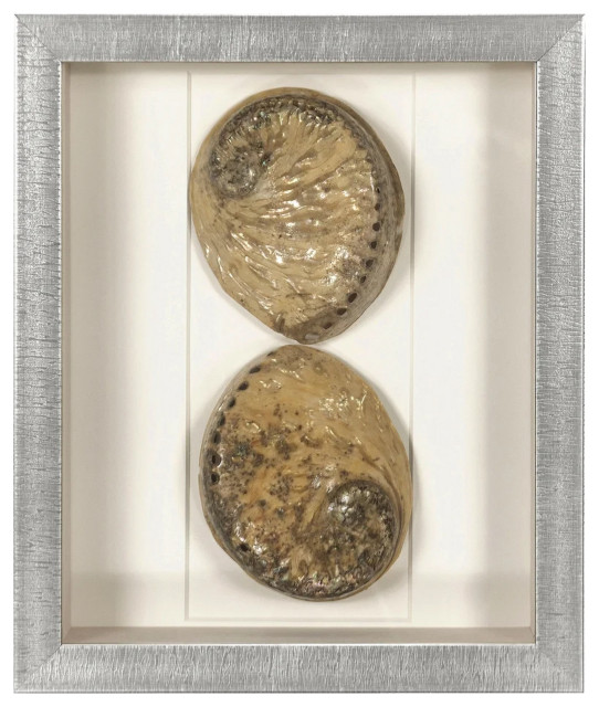 HUJI Abalone and Pearl Shell Shadow Box Wall Decor, 2 Piece Set - Beach ...