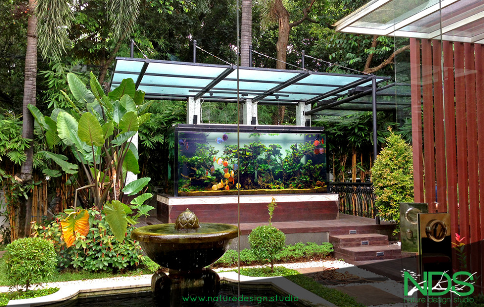 Sunken Garden (2200 Gallons outdoor aquarium) - Tropical - Patio - Los ...