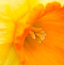 EDITH J. CARRIER ARBORETUM AT JMU - Project Photos & Reviews ...