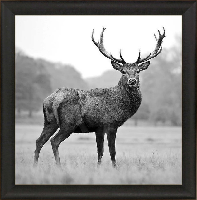 Proud Deer Framed Art - Rustic - Prints And Posters - by Paragon Decor ...