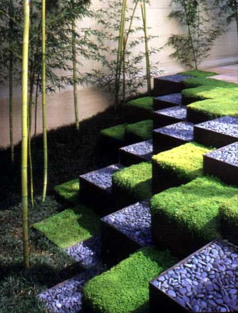 Geometry Roots Great Garden Design