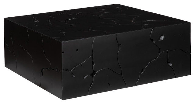 Teak Slice Coffee Table, Square, Black, 39x39x15"h - Contemporary - Coffee Tables - by Phillips ...