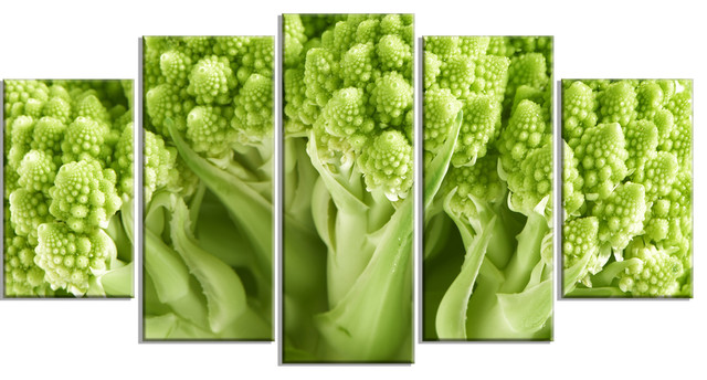 "Fresh Green Romanesco Florets" Photo Metal Wall Art, 60"x32 ...