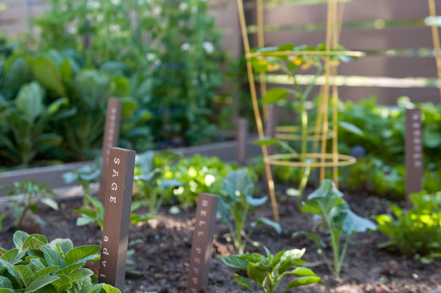 Keep Track of Your Vegetable Garden With Plant Markers