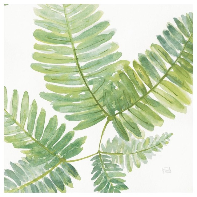 "Ferns Square II" Digital Paper Print by Chris Paschke, 20"x20", 26"x26 ...
