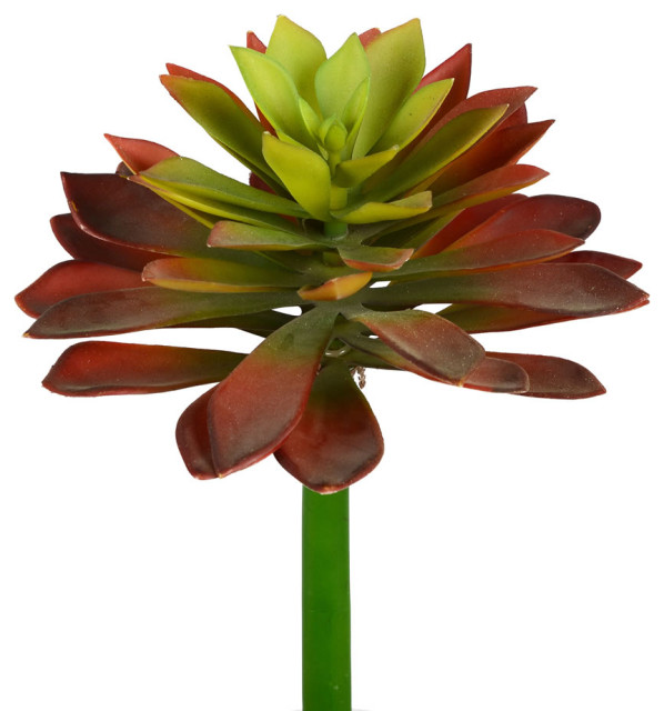 Vickerman 10" Red and Green Succulent Stem, 2 per Pack - Traditional ...