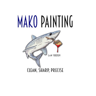 MAKO PAINTING - Project Photos & Reviews - Rockwall, TX US | Houzz