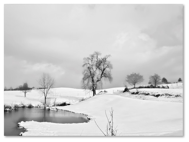 Bob Rouse 'Small Pond Bw' Canvas Art, 47"x35" - Contemporary - Prints ...