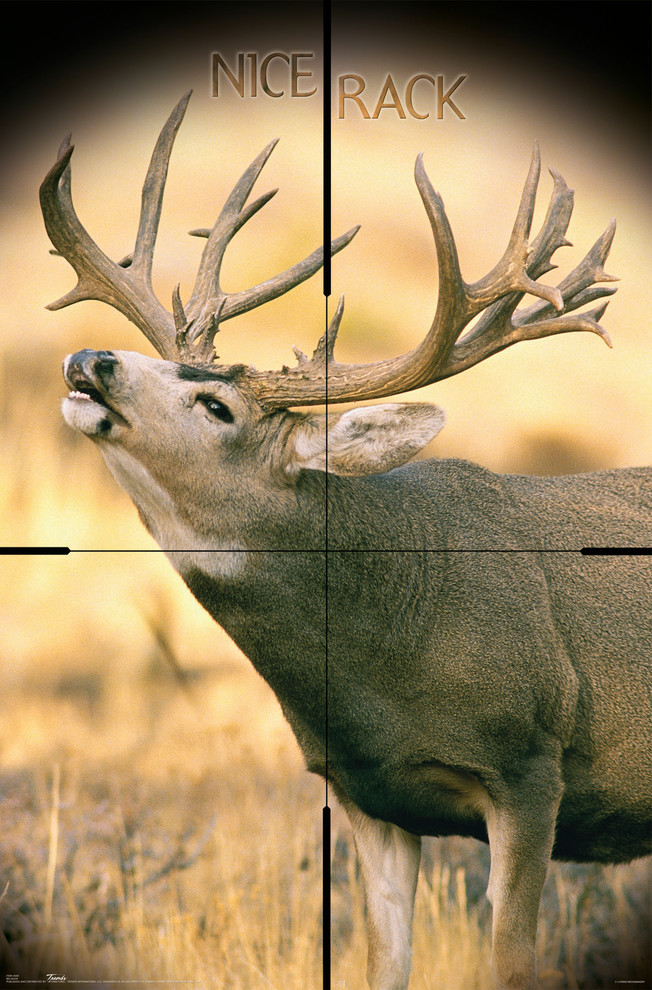 Big Buck Poster, 22.375"x34" - Rustic - Prints And Posters - by Trends ...