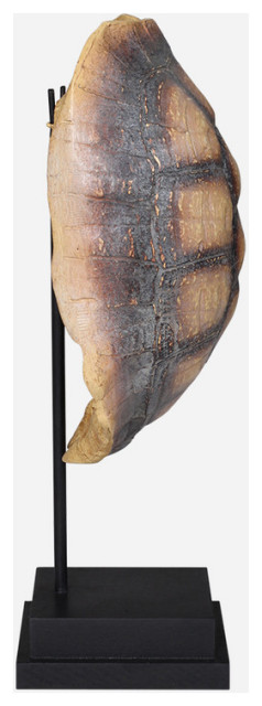 Faux Yellow Footed Tortoise Shell on Stand - Contemporary - Decorative ...