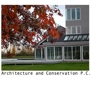 ARCHITECTURE & CONSERVATION - Project Photos & Reviews - OAK PARK, IL ...