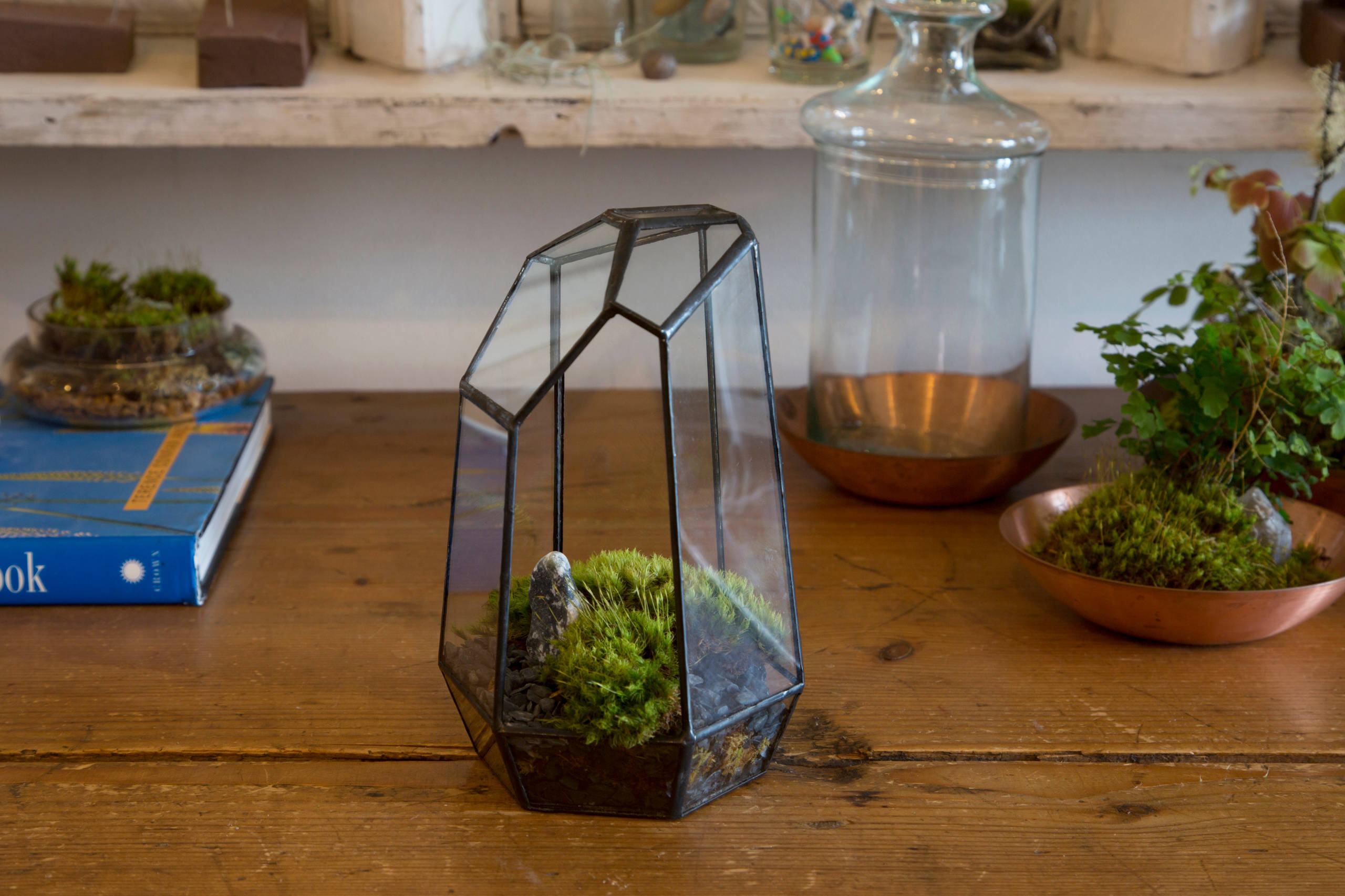 World of Design: The Joy of Moss and Its Modern Uses