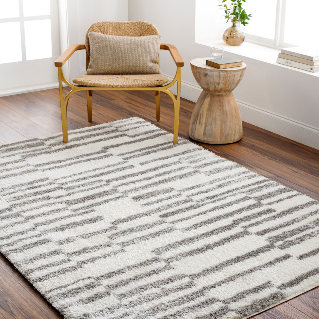 Surya Cloudy Shag CDG-2328 Machine Woven Area Rug, 6'7" x 9 ...