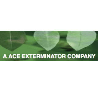 A ACE EXTERMINATOR - Project Photos & Reviews - The Bronx, NY US | Houzz