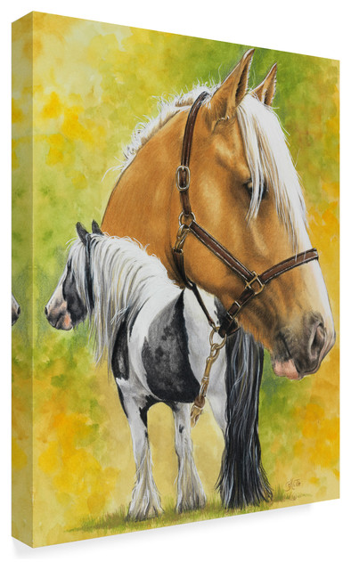 "Irish Cob" by Barbara Keith, Canvas Art, 32"x24" - Contemporary ...