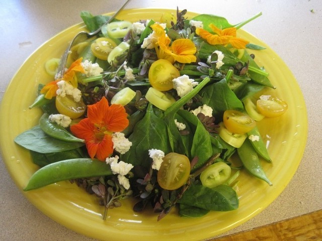 NEW: Incredible Edibles Spring Fling Salad Swap