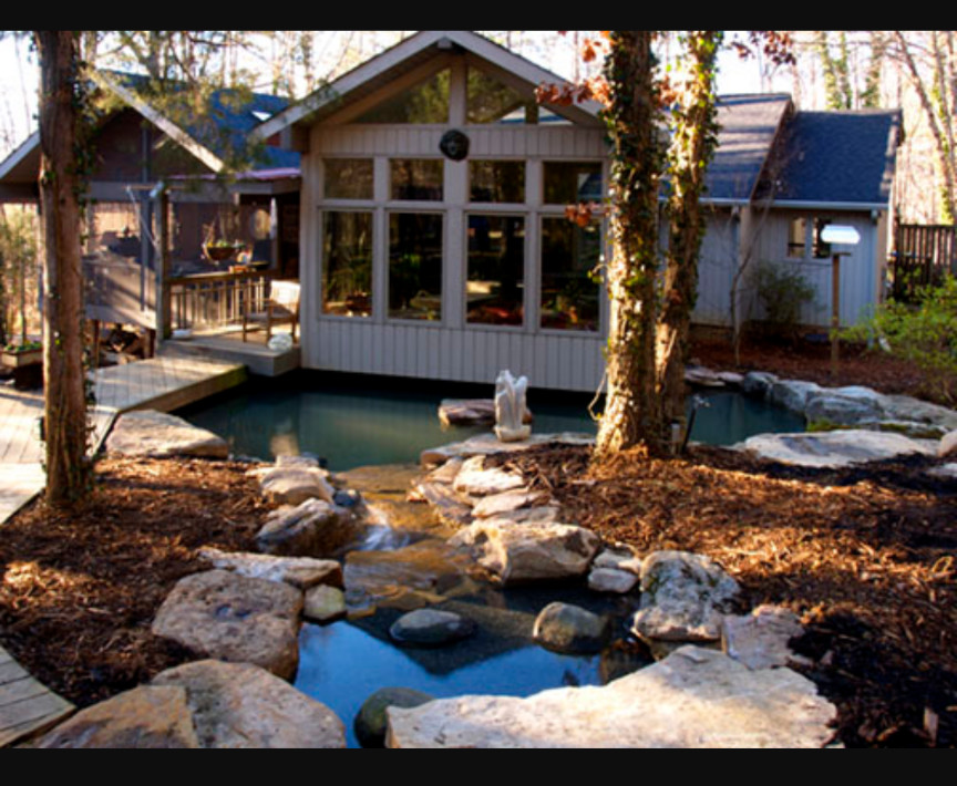 Natural Swimming Pools: More Beauty, No Chemicals