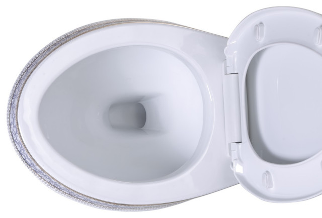 Elongated Two Piece Dual Flush Bathroom Toilet with No Slam Seat White ...