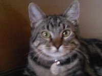 ALEX DESMOND - Project Photos & Reviews -, US | Houzz