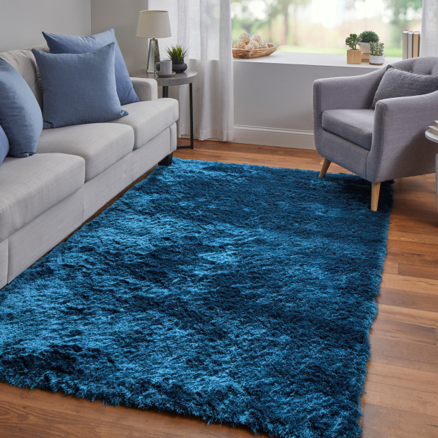 Weave & Wander Freya Plush Shag Rug, 2'x3'4" - Contemporary - Area Rugs ...